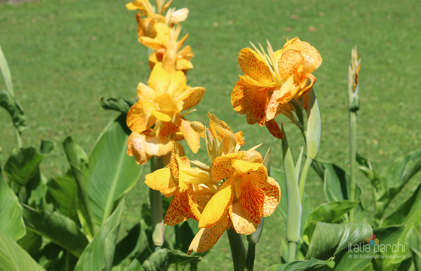 Parco Giardino Sigurtà